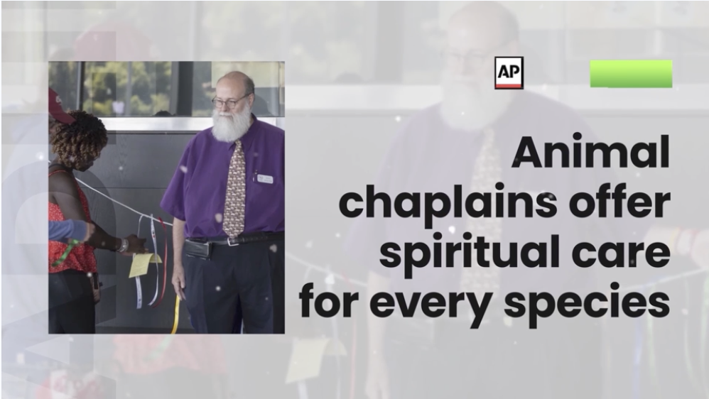 Can Pets Go to Heaven? The Healing Power of Animal Loss Rituals - MHTN