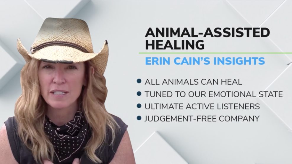 The Healing Power of Animals: Equine Therapy Explained - MHTN